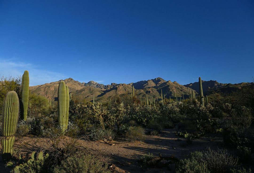 IRPS 2026 Tutorials and YIR | Underline